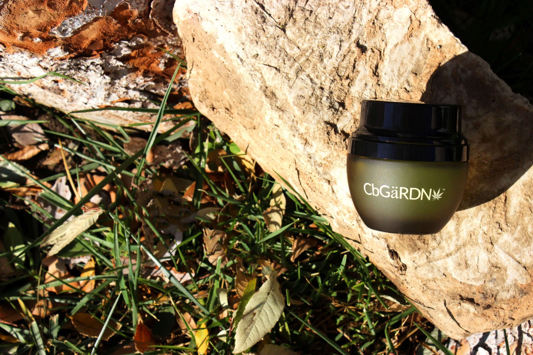 The Power of Antioxidants in Skincare: Protecting Your Skin From the ...